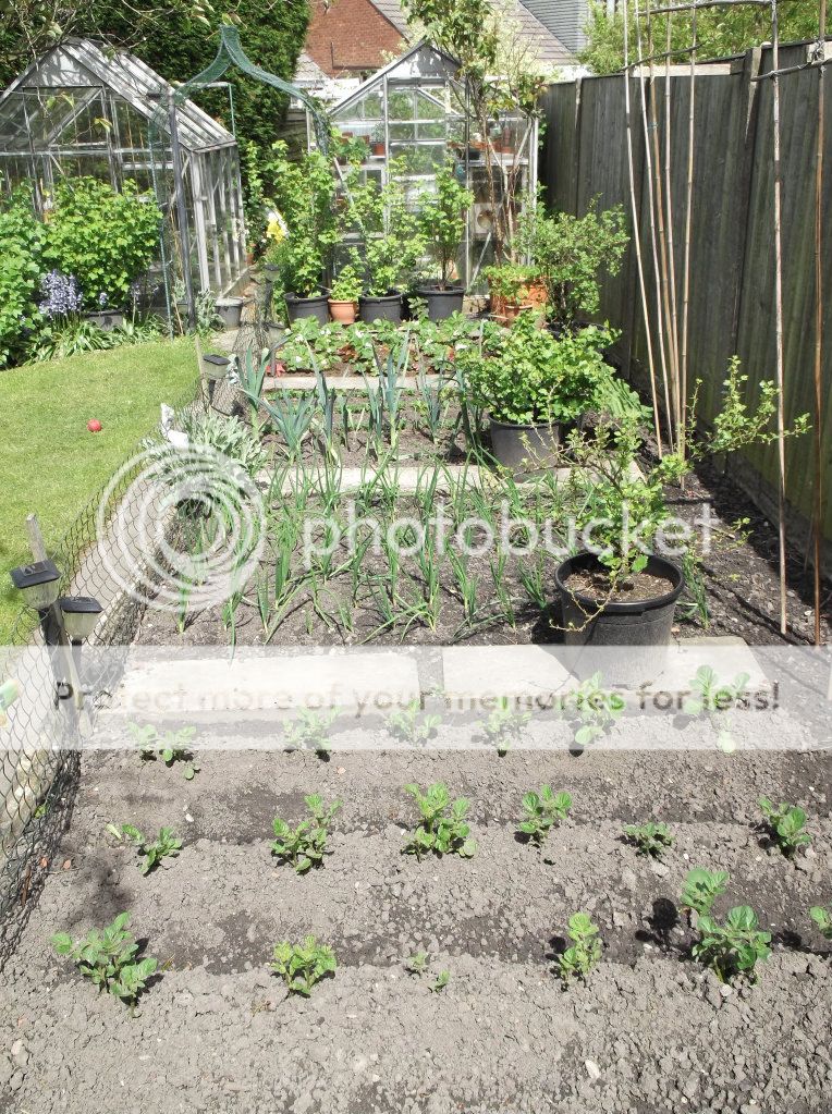 wiganworld - Wigan Message Boards